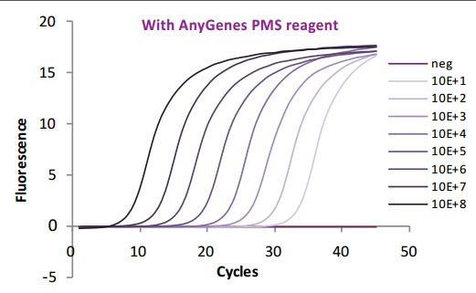 Validated Primer Sets Efficiency Anygenes