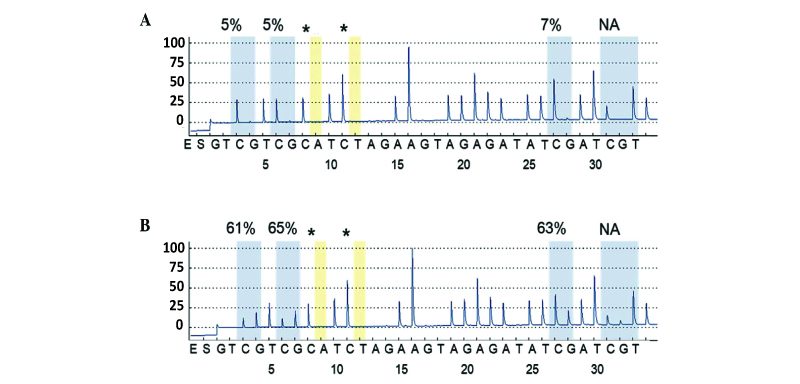 DNA methylation studies by pyrosequencing assays - AnyGenes