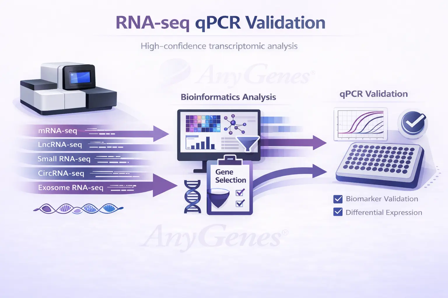 RNA-seq qPCR validation-High-confidence transcriptomic analysis | AnyGenes®